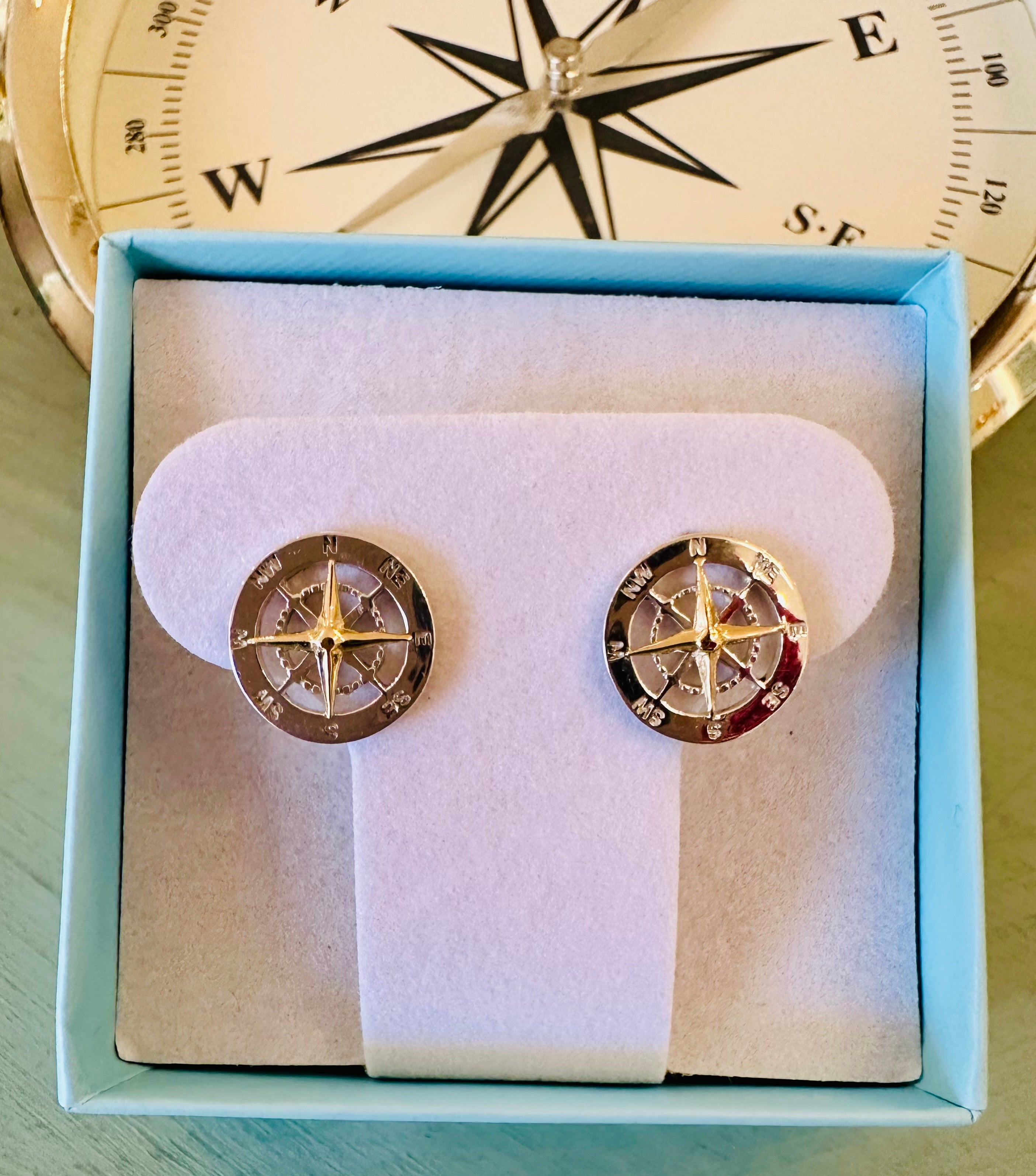 Compass Sterling Silver with 14K Yellow Gold Needle Stud Earrings | The Gilded Oyster